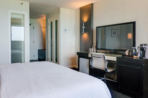 LeiBear Weekend 2021 Non c'è inverno alle Hawaii, gli orsi non vanno in ...