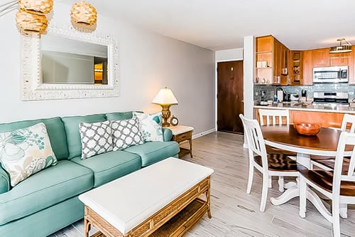 LeiBear Weekend 2021 No hay invierno en los osos de Hawaii que no hibernen