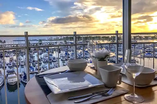 LeiBear Weekend 2021 No hay invierno en los osos de Hawaii que no hibernen