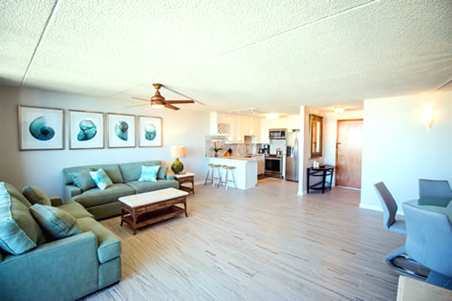 LeiBear Weekend 2021 No hay invierno en los osos de Hawaii que no hibernen