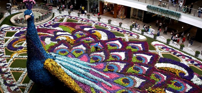 Festival de las Flores Medellín Feria de las Flores 2026